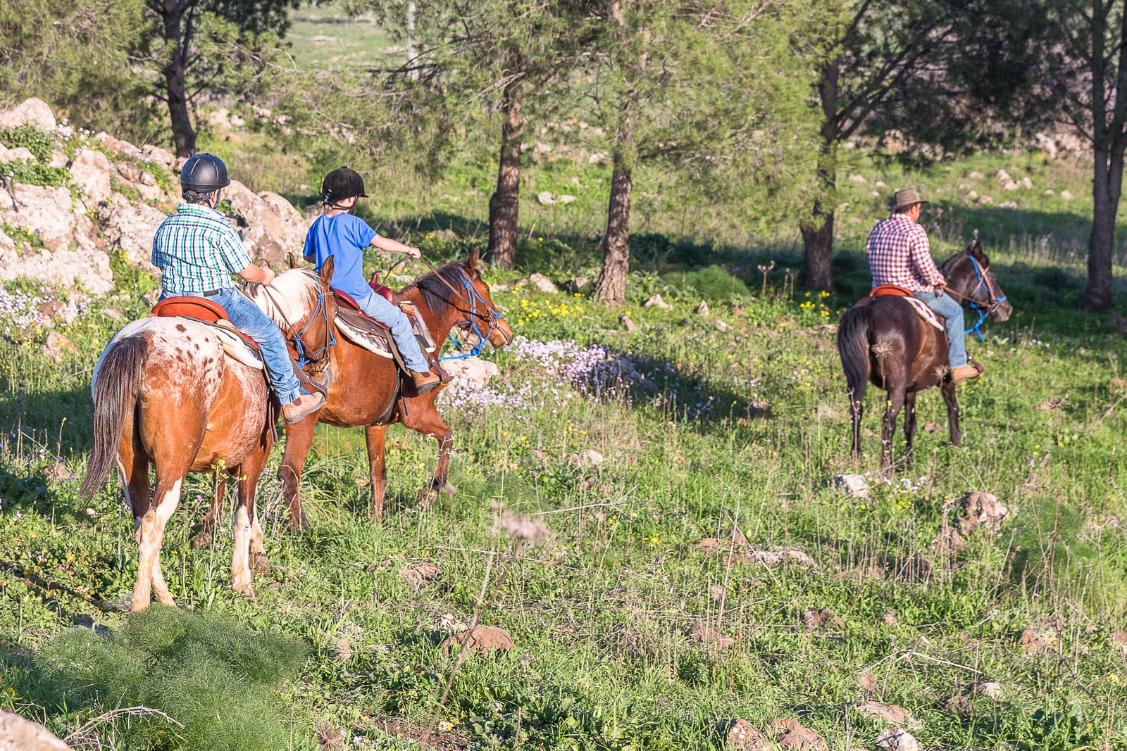 Giving Back - Puzzle Israel